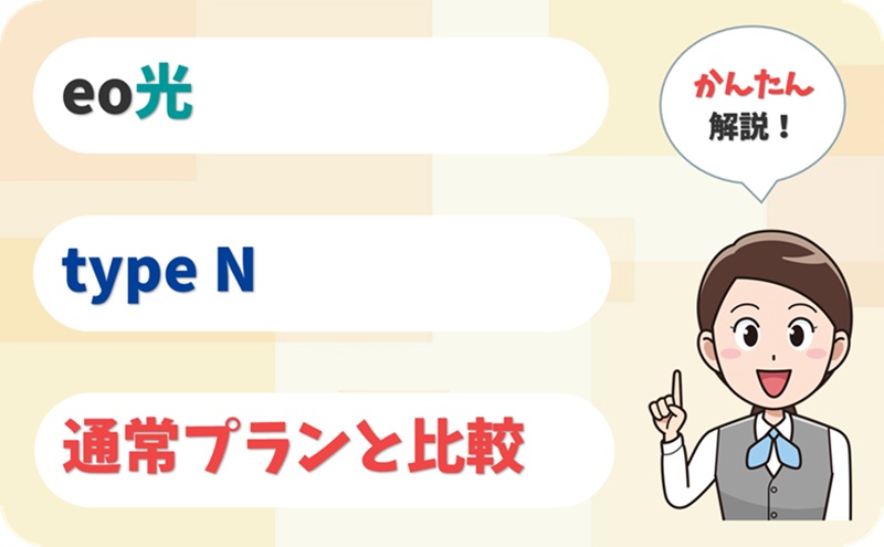 eo光ネット(type N)と通常プランの違いは？